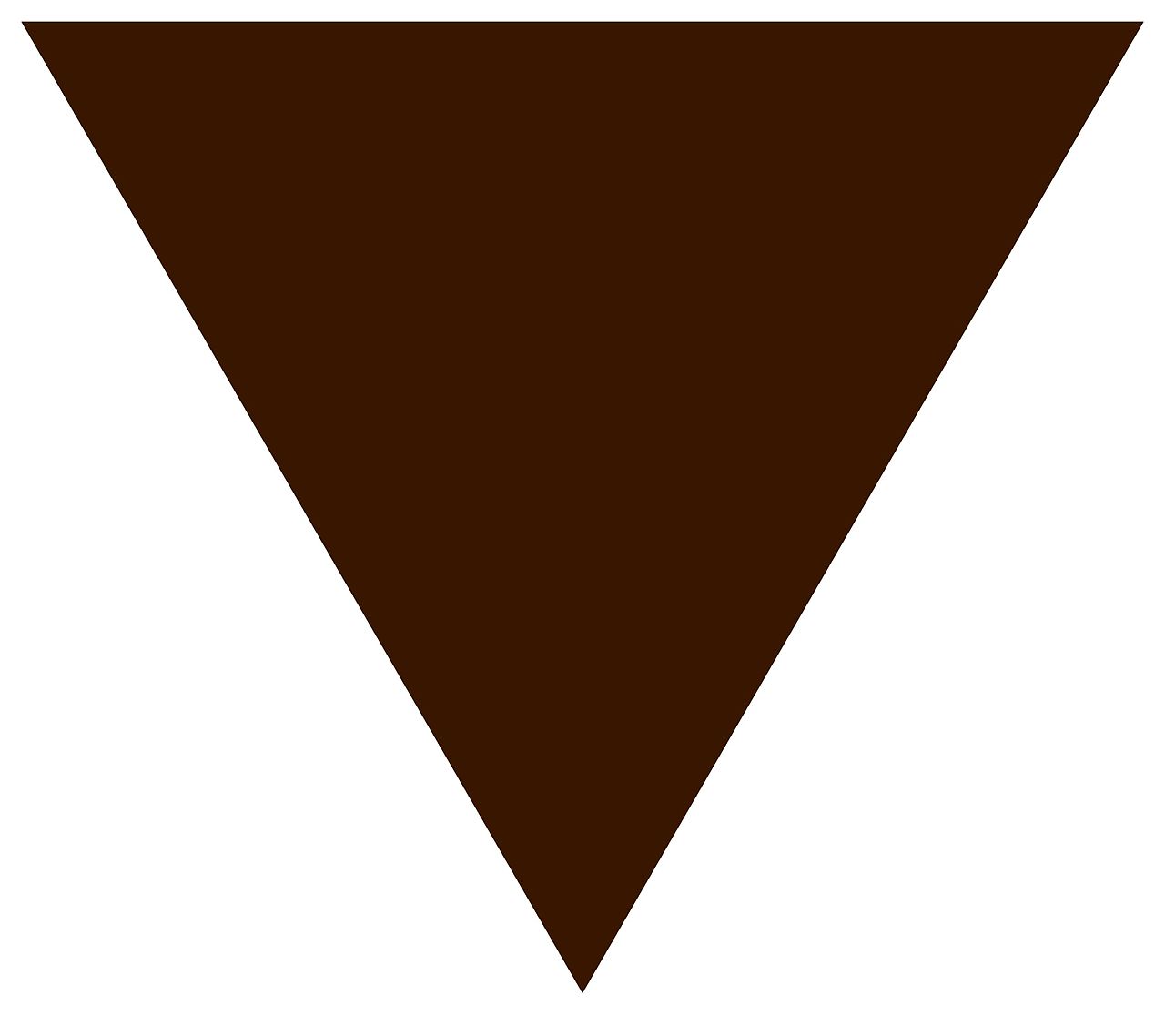 Porrajmos: así fue el holocausto gitano - Al Descubierto